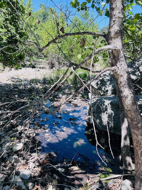 kickapoo springs – so secret, occult, and concealed