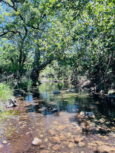 kickapoo springs – so secret, occult, and concealed